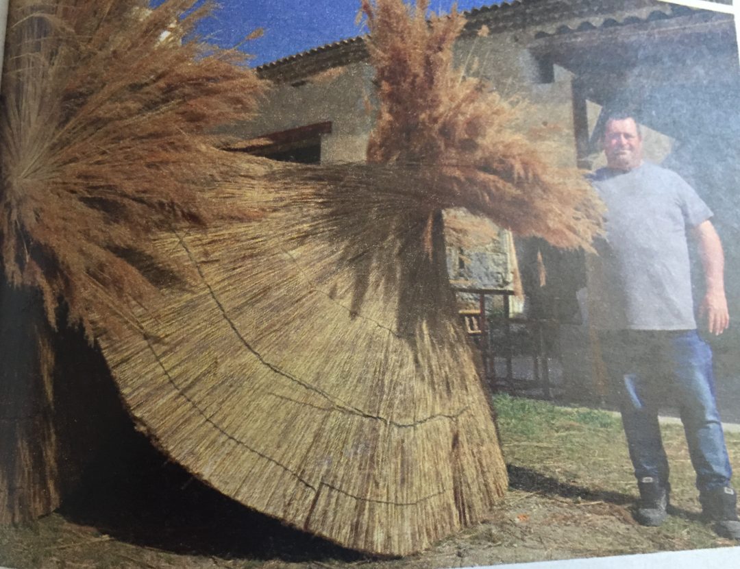 PERRET ROSEAUX | Roseaux Camargue